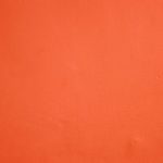 How To Make Burnt Orange Paint 2022 (Guide)