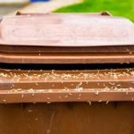 How To Kill Maggots In Trash Can 2022 (Guide)